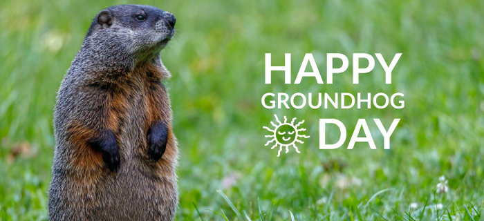 This Ground Hog Day light with LED Products. - Axxess Industries Inc.